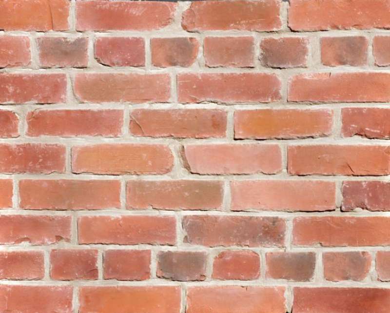 CAN’BRICK カタログ Vol.8 (2024~) | キャン’エンタープライゼズ株式会社 |最新の建材カタログが揃う「かたなび」