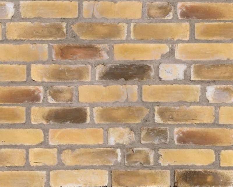 CAN’BRICK カタログ Vol.8 (2024~) | キャン’エンタープライゼズ株式会社 |最新の建材カタログが揃う「かたなび」